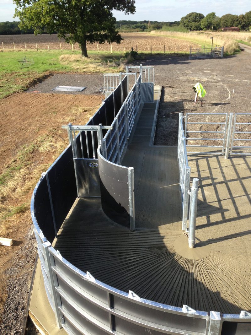 Cattle Handling System - Burden Bros Construction