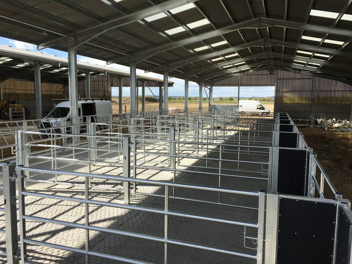 Cattle Shed - BB4 Construction